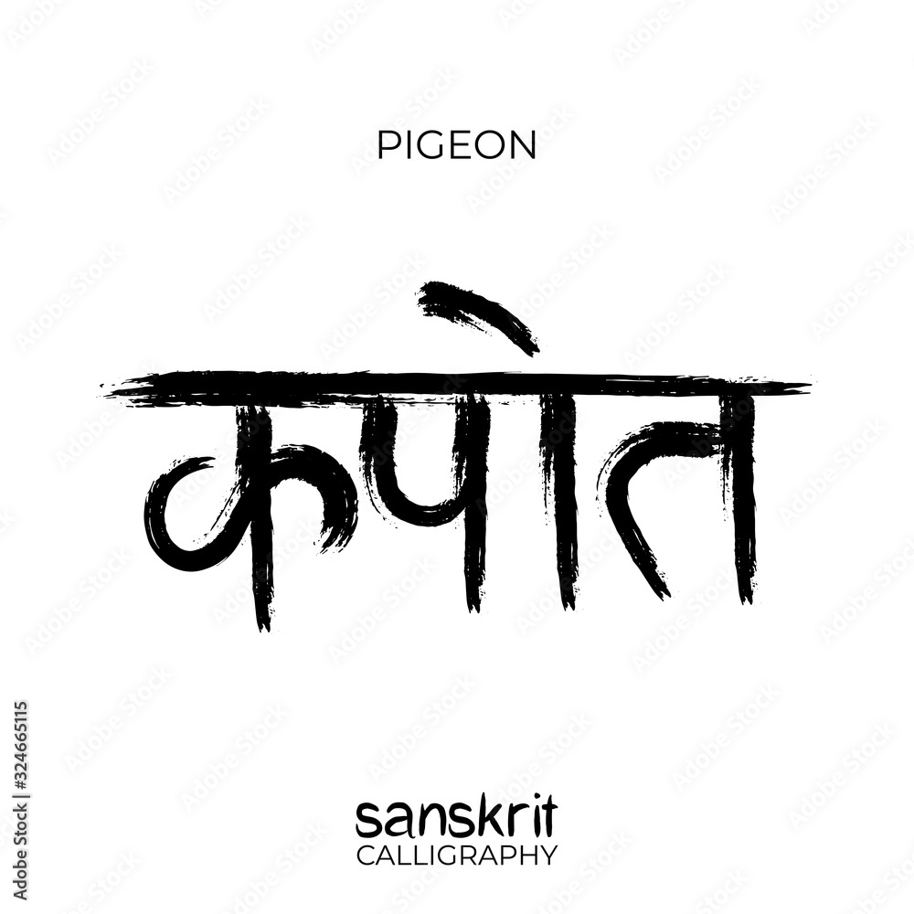 Sanskrit Calligraphy font translation: dove, pigeon. Indian grunge ...