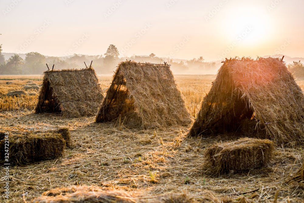 The native hut was built as a tourist accommodation and is a cottage ...