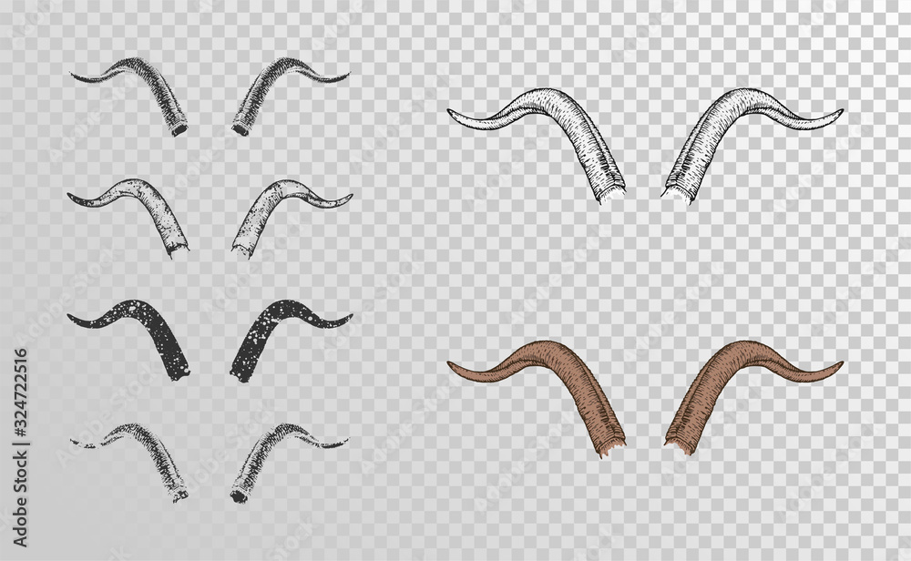 Vector set of hand drawn horns goat with grunge elements in different ...