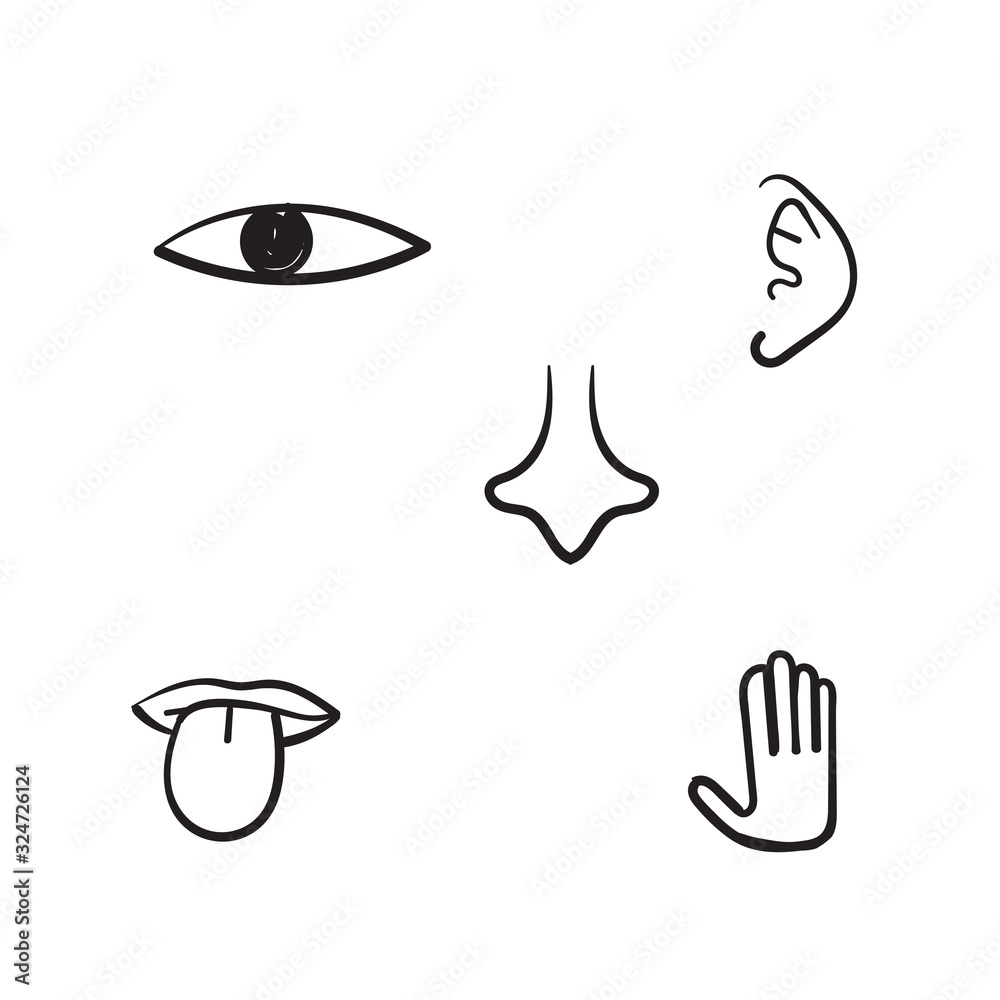 hand drawn five human sense illustration with doodle line art style ...