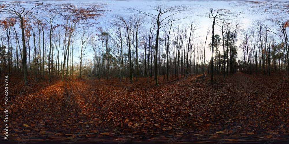 Autumn forest HDRI Panorama Stock Photo | Adobe Stock