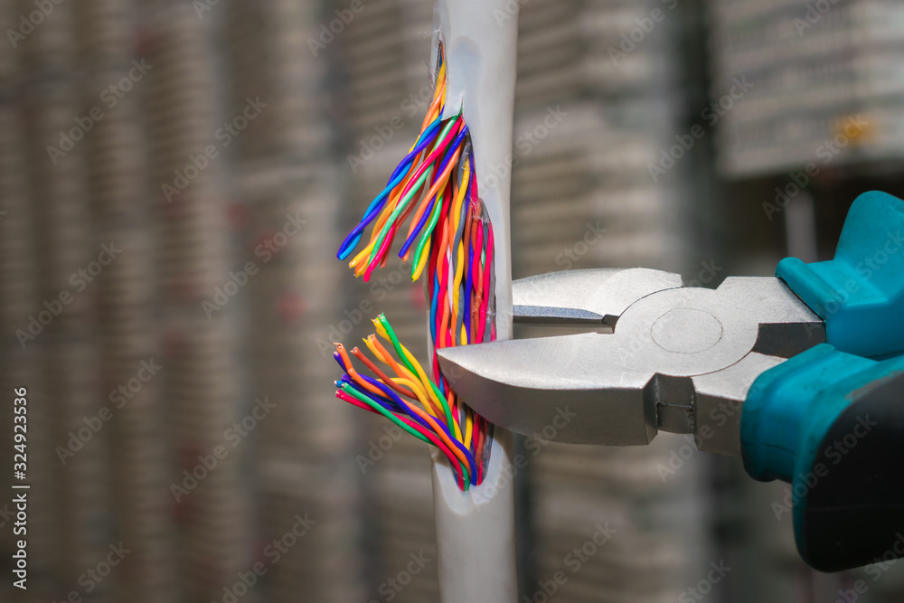 Cutting a multicore cable with a cushion. Network internet cable is ...