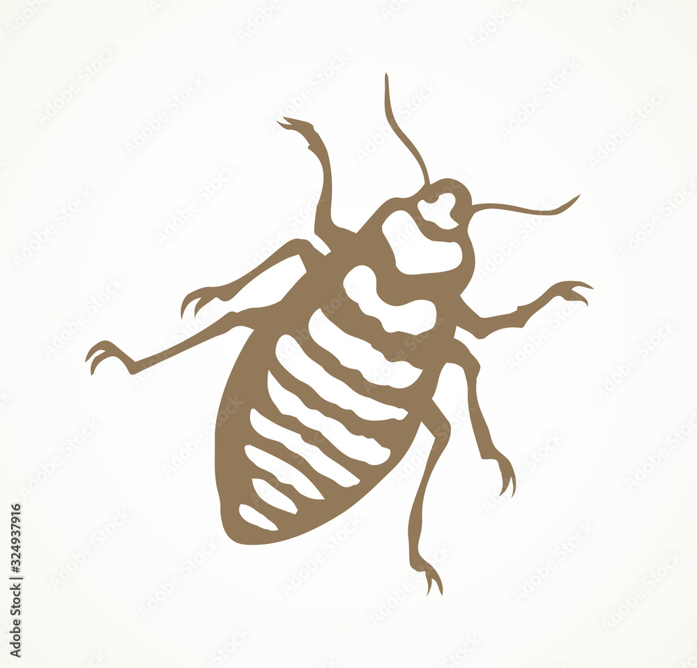Beetle. Larva. Vector drawing Stock Vector | Adobe Stock