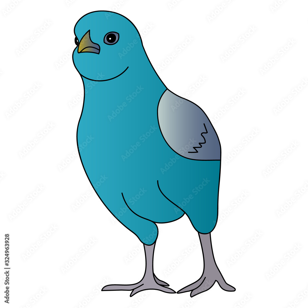 Color vector illustration – a fighting bird of a budgie is ready to ...