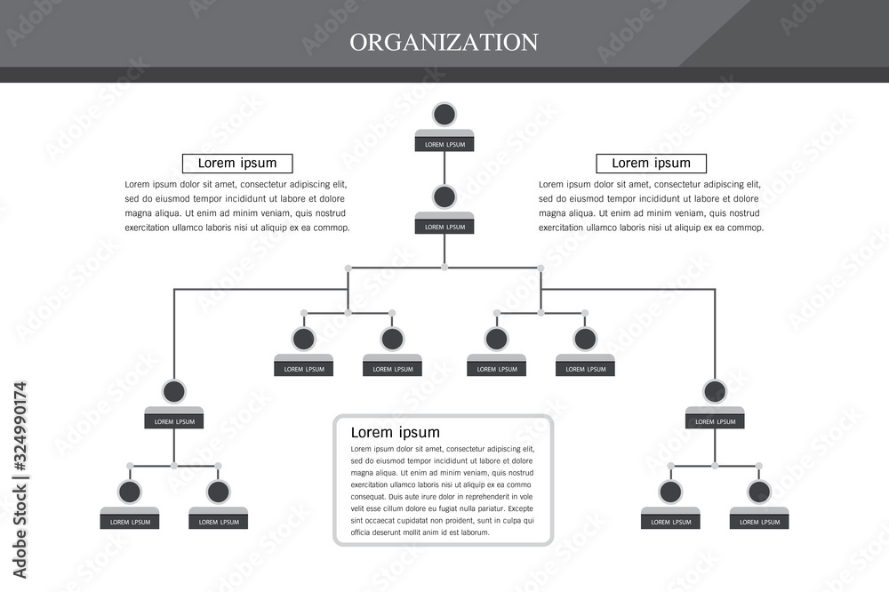 Organization Chart Infographics Stock Vector | Adobe Stock