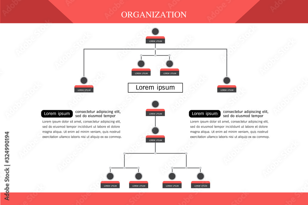Organization Chart Infographics Stock Vector | Adobe Stock