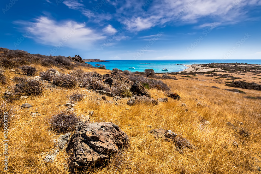 Chrissy island scenery on a sunny summer day with dry trees, brown soil ...