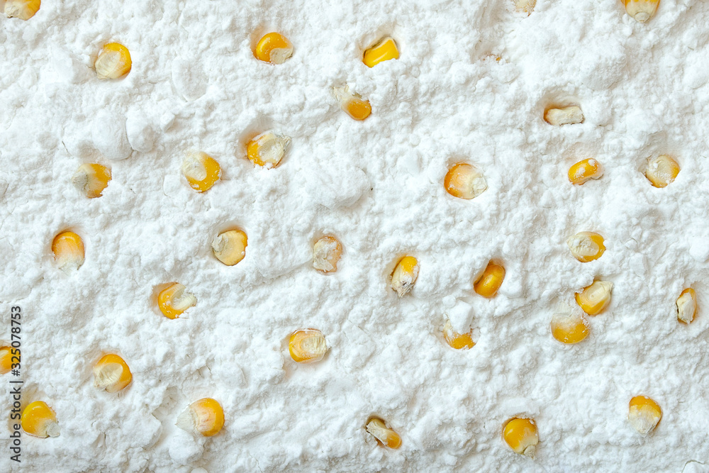 Closeup of tapioca starch or powder flour with maize grains on a white ...