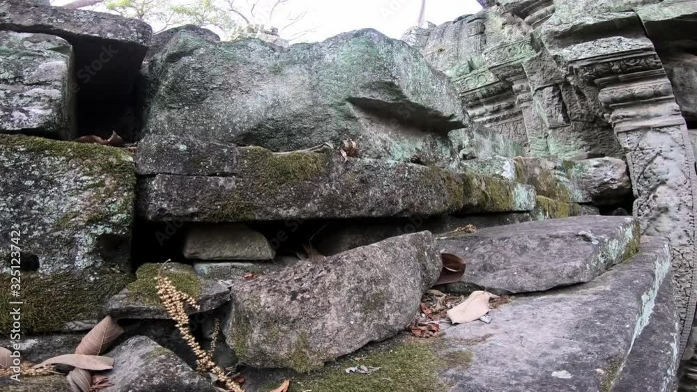 4k, Lizard on a rock of temple wall at Cambodia. Eutropis multifasciata ...