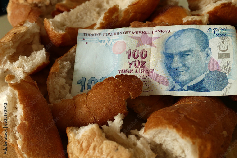 Foto de waste of waste and 100 Turkish lira banknote, waste of waste ...
