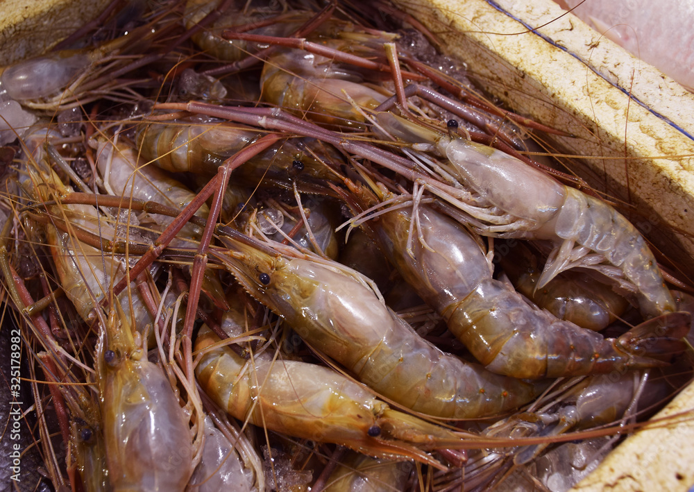 Fresh Prawns in an Indian fish market. These are also called as Chingri ...