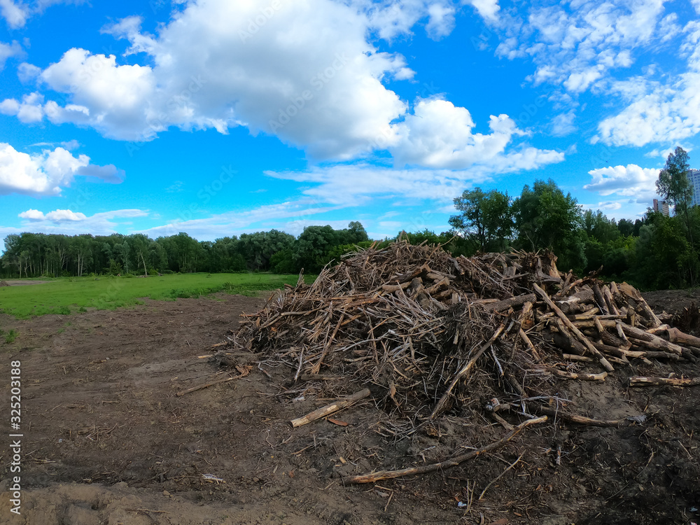 Landfill of felled trees. Logs lie at a construction site ...