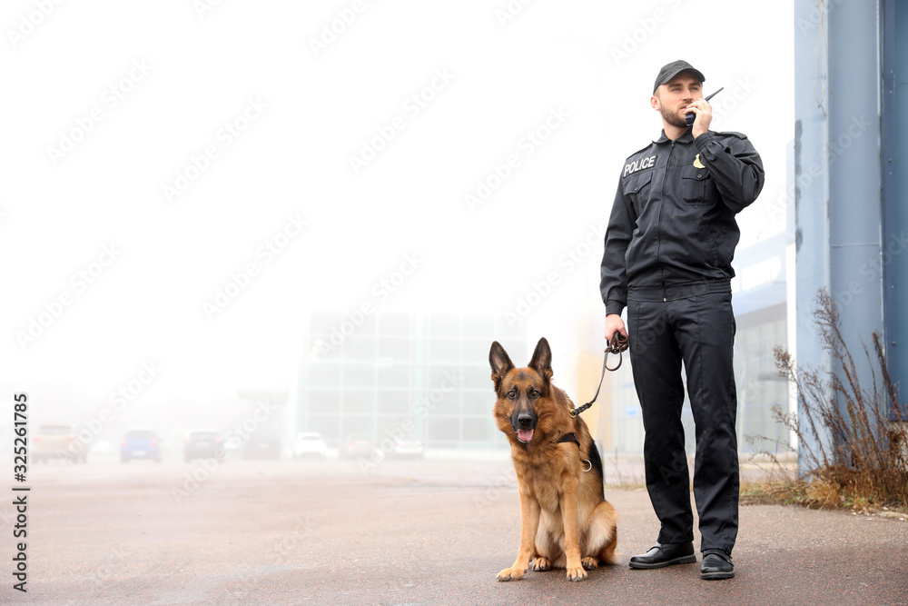 Male police officer with dog patrolling city street Stock Photo | Adobe ...
