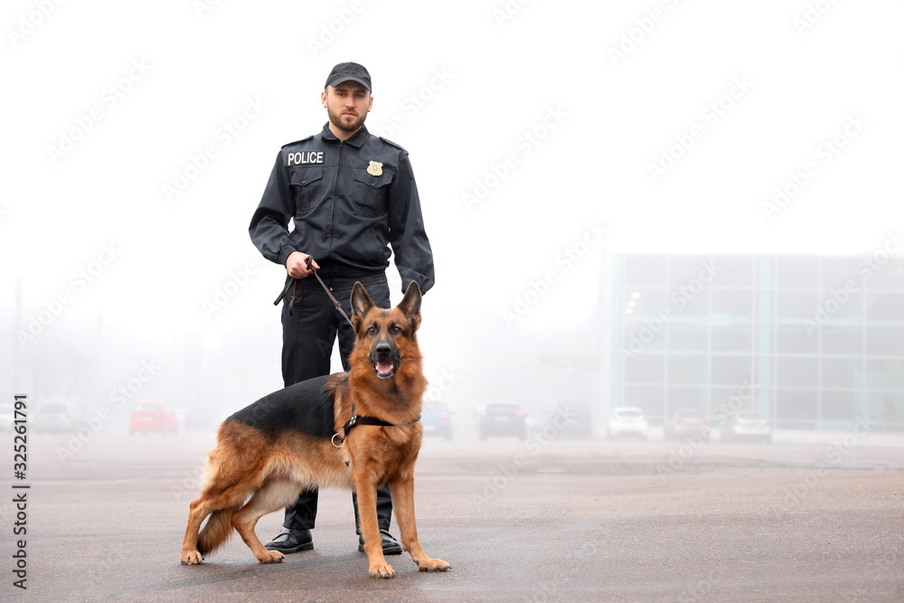 Male police officer with dog patrolling city street Stock Photo | Adobe ...