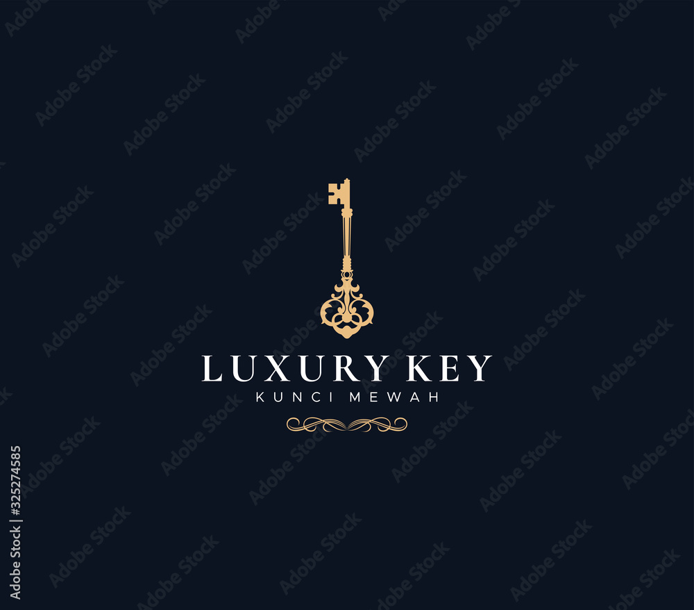luxury key logo dark background , symbol icon vector Stock Vector ...