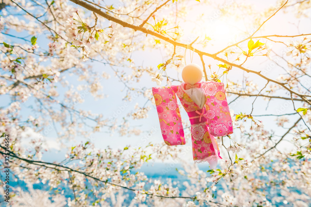 Teru Teru Bozu. Japanese Rain Doll hanging on Sakura tree to pray for ...