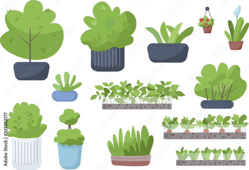 Home and street greenery flat color vector objects set. Houseplants ...