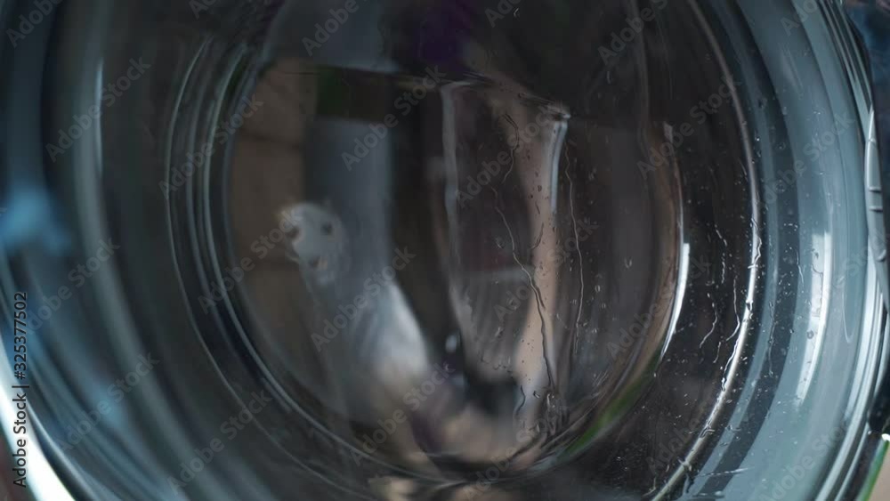 Washing machine washes clothing and sheets. Cylinder spinning Stock ...