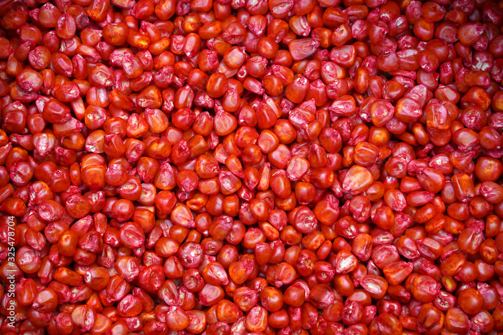 Corn seed texture, agriculture background. Concept of early spring ...