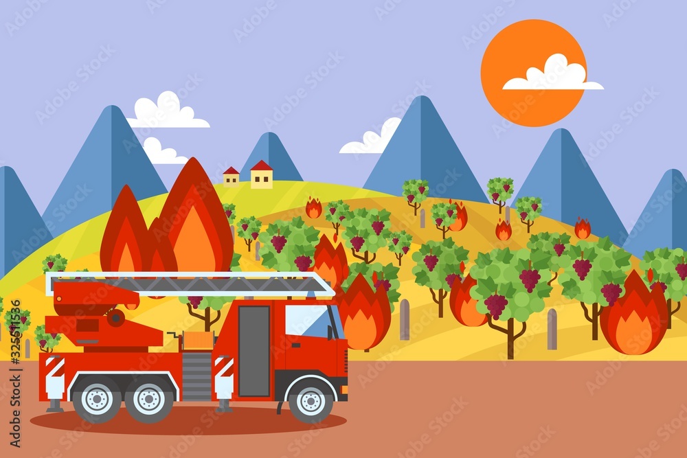 Fire truck at burning vineyard, wildfire disaster emergency situation ...