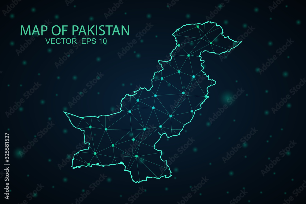 Map of Pakistan. Wire frame 3D mesh polygonal network line, design ...