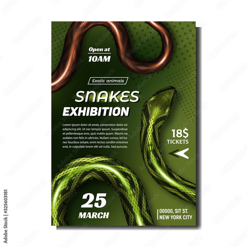 Tropical Snakes Exhibition Advertise Banner Vector. Wild Poisonous ...