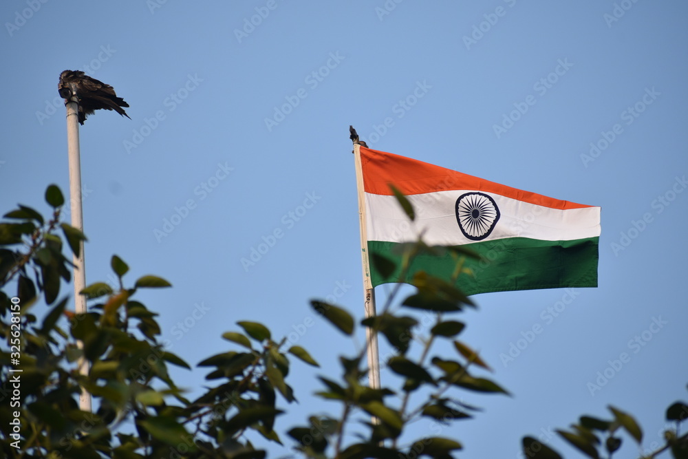 Tiranga Stock Photo | Adobe Stock