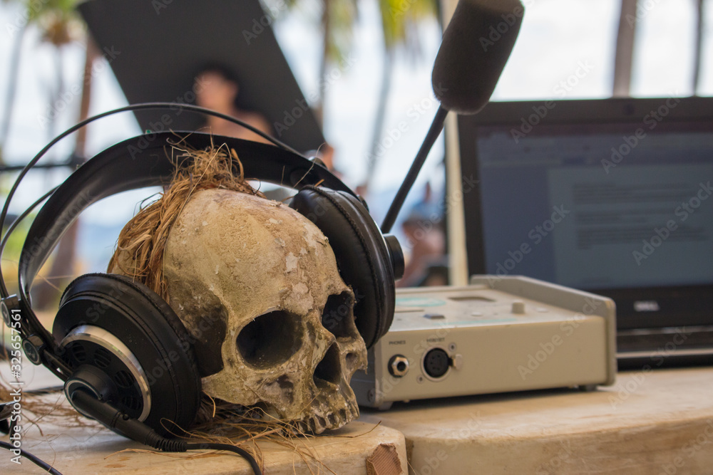 Human skull with earphones and microphone. Music and sound concept ...