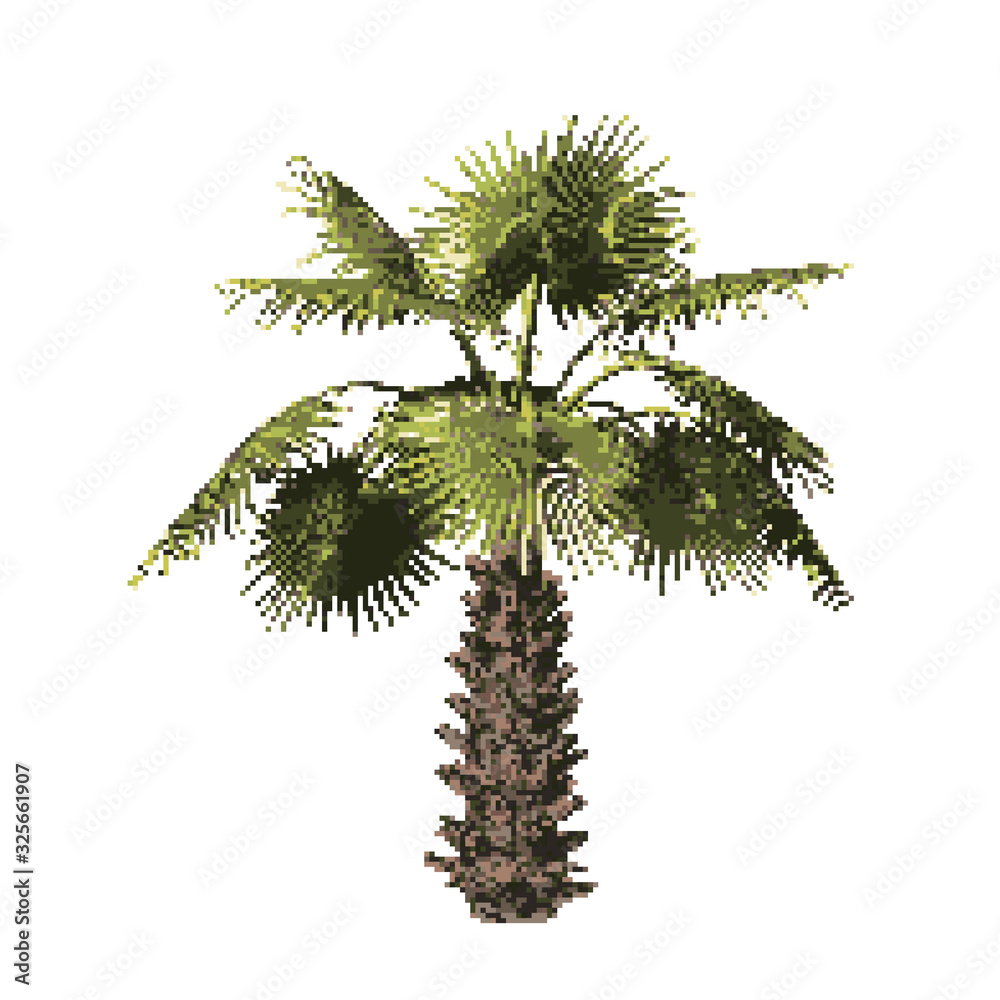 Pixelated Palm tree. Pixel Art Vector illustration. Isolated on white ...