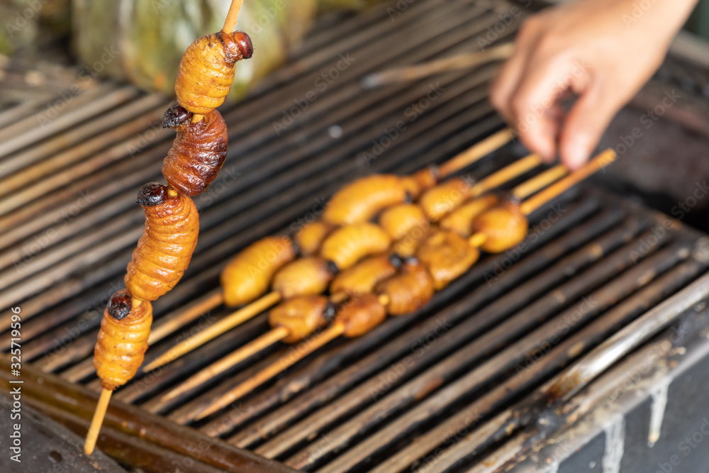 Edible palm weevil larvae (Rhynchophorus phoenicis) at traditional food ...