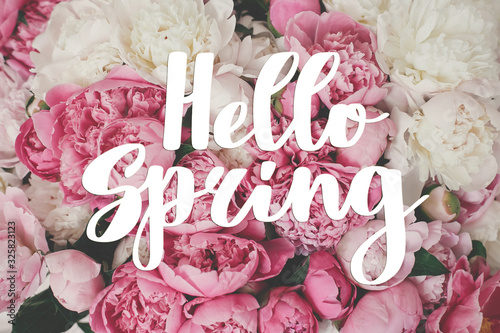 Hello Spring Tumblr