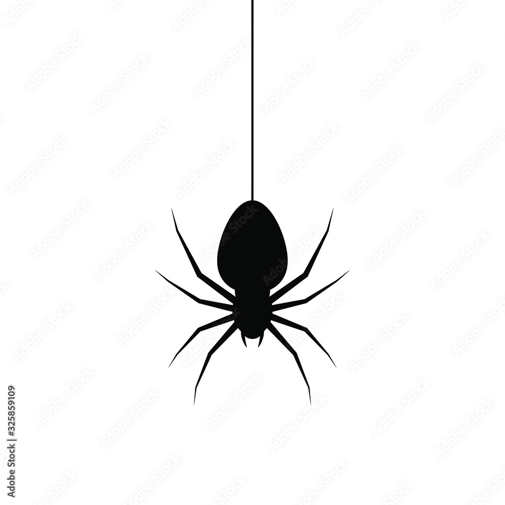 Spider hanging on cobweb. Spider hanging on spider web. Vector ...