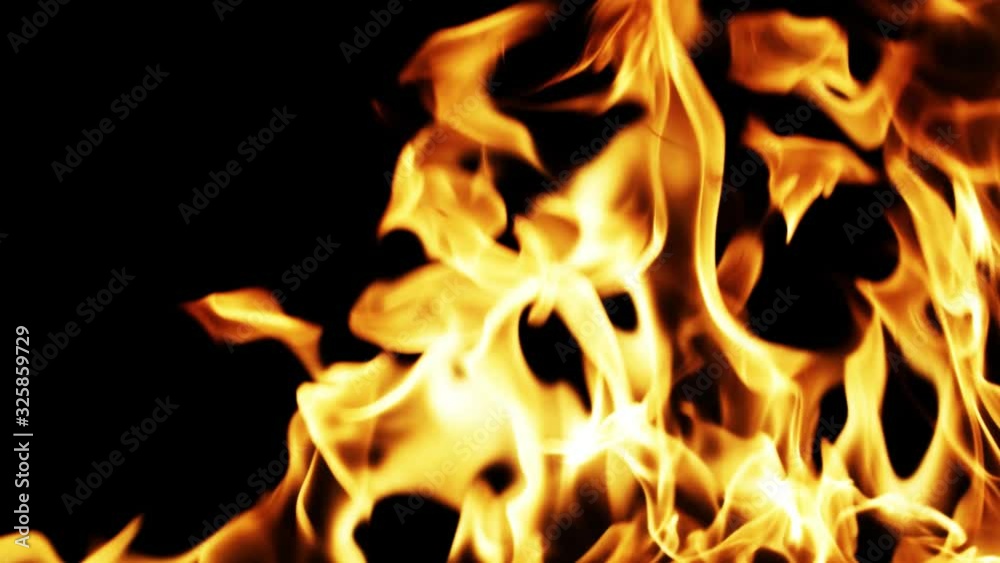 Fire Flames Igniting And Burning - Slow Motion. A line of real flames ...