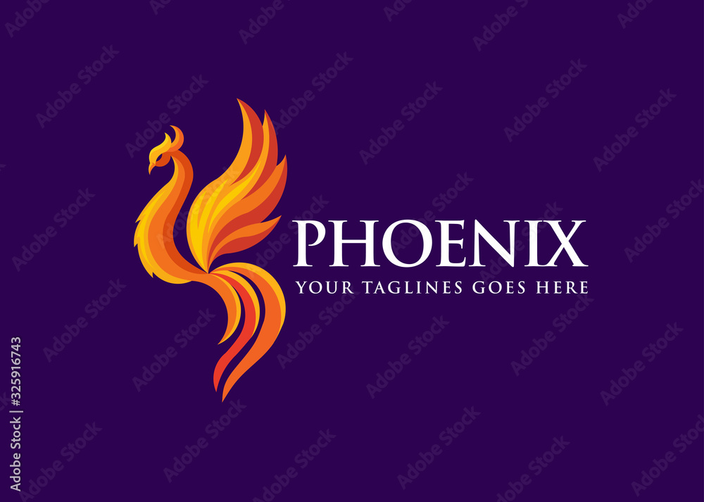 luxury phoenix logo concept, best phoenix bird logo design, phoenix ...