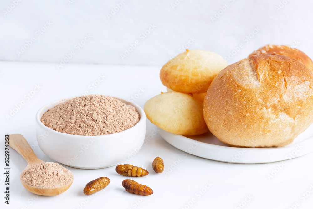 Silkworm Pupae powder. Insects flour for eating as food items made of ...