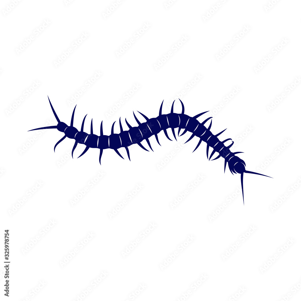Centipede logo vector design template, Silhouette Centipede logo animal ...