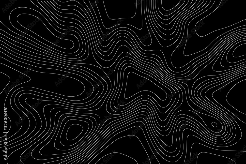 Imitation of a geographical map, white lines on black background ...