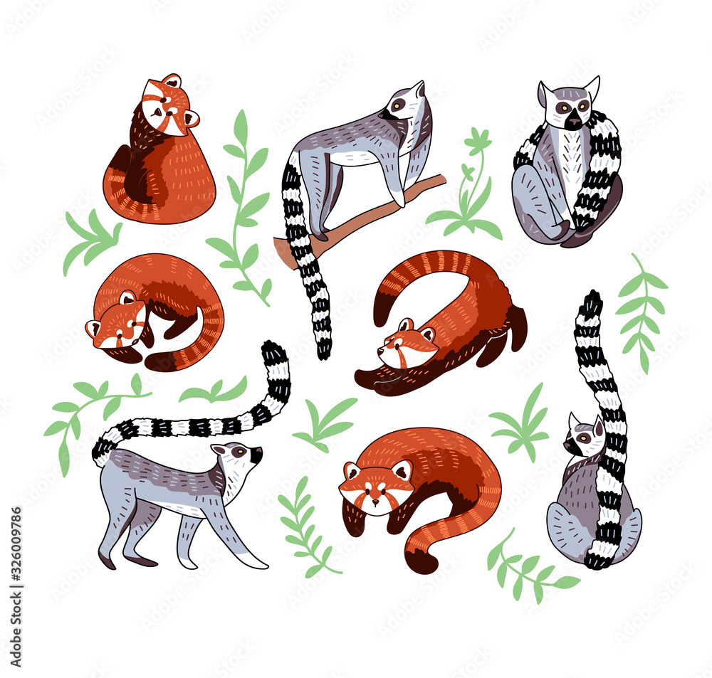 Hand drawn vector set of red pandas and ring tailed lemurs. Cute doodle ...