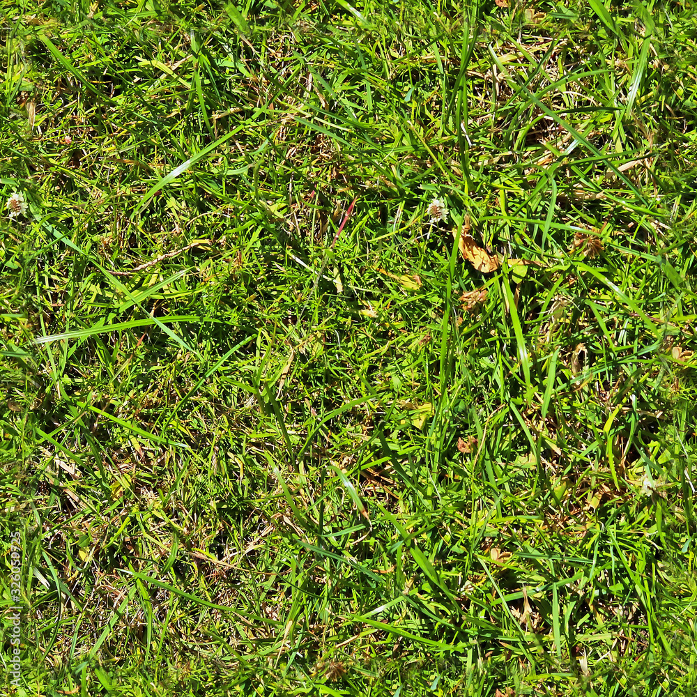 Photo realistic seamless grass texture in high resolution with more ...