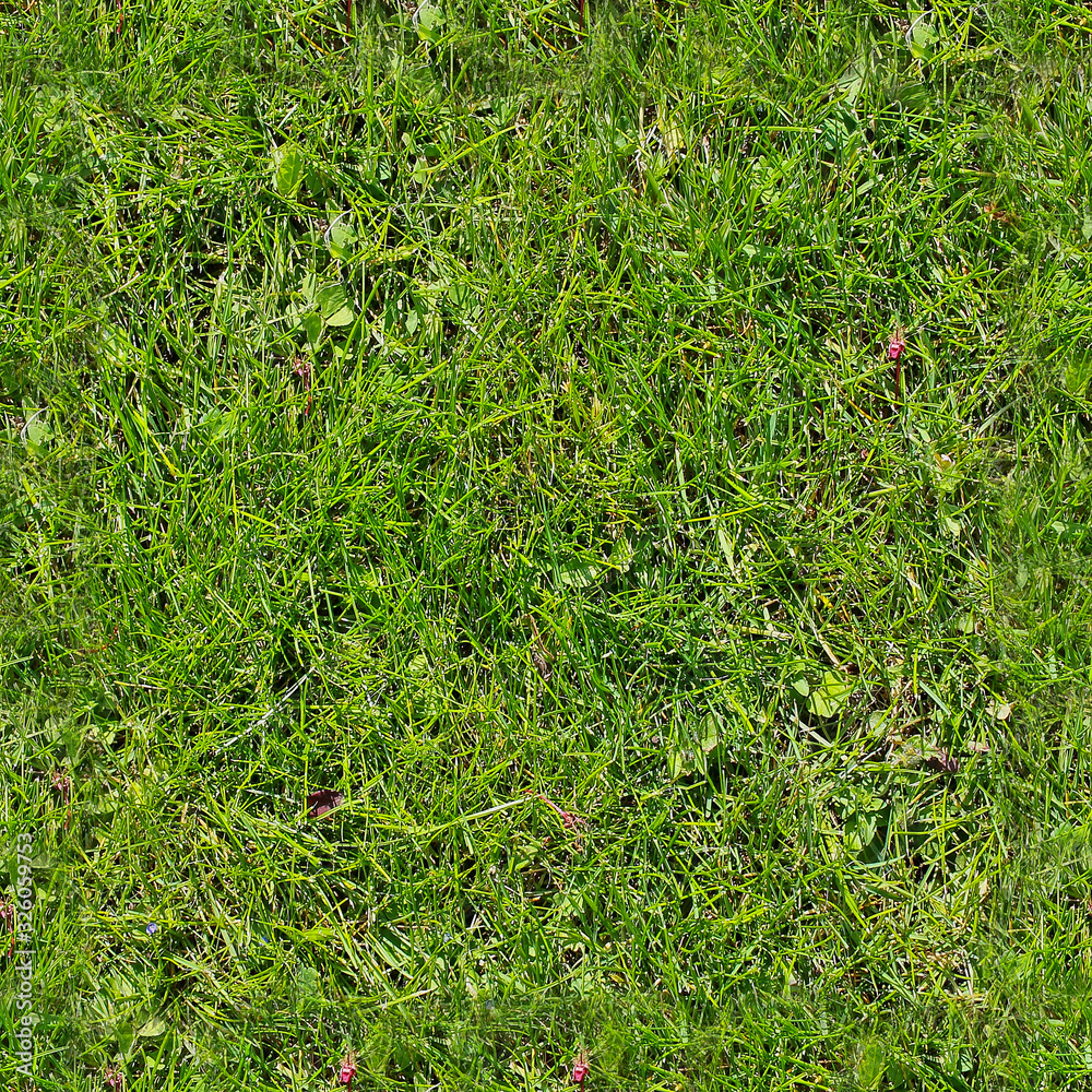 Photo realistic seamless grass texture in high resolution with more ...