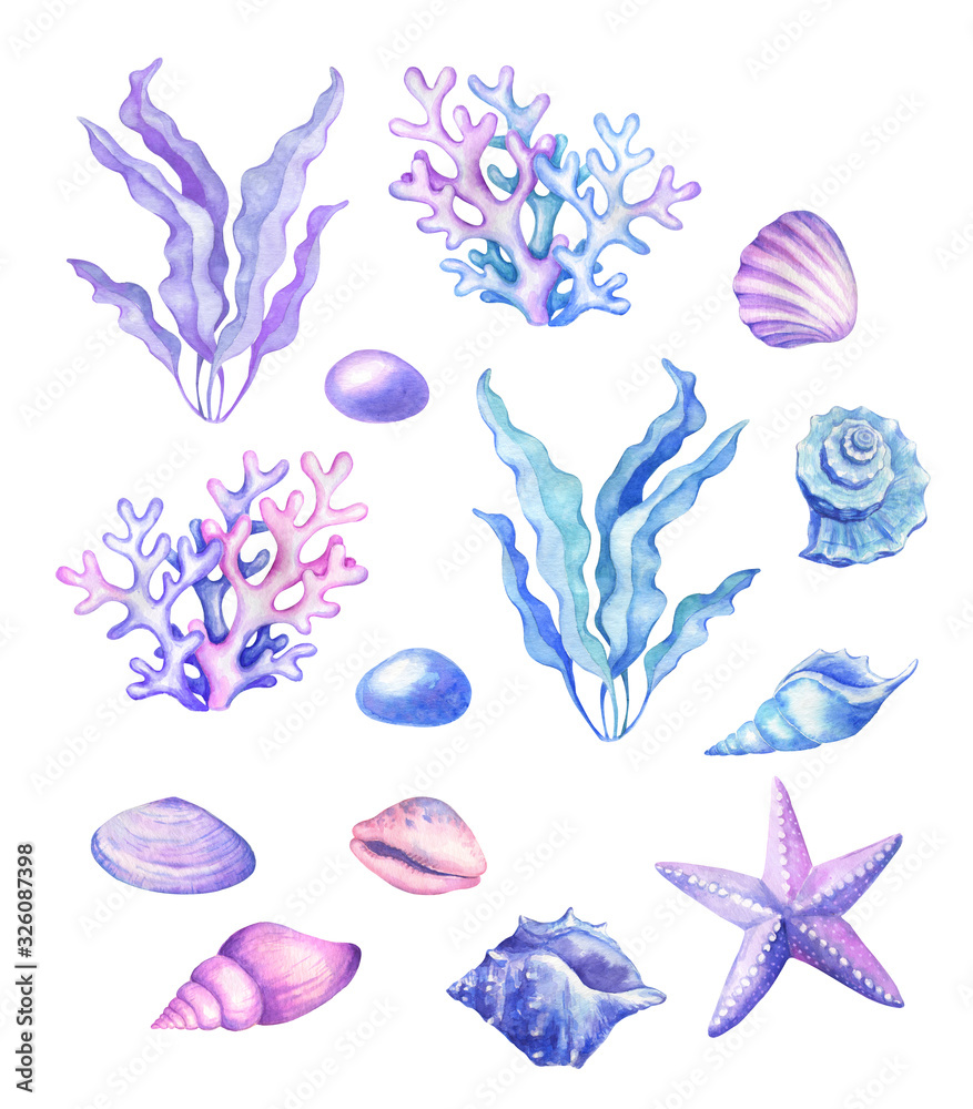 Watercolor seashells, starfish in blue, pink and purple colors. Stock ...