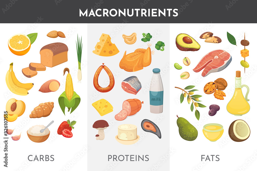 Main Groups Of Carbohydrates