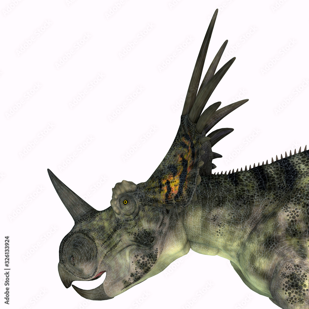Styracosaurus Dinosaur Head - Styracosaurus was a herbivorous ...