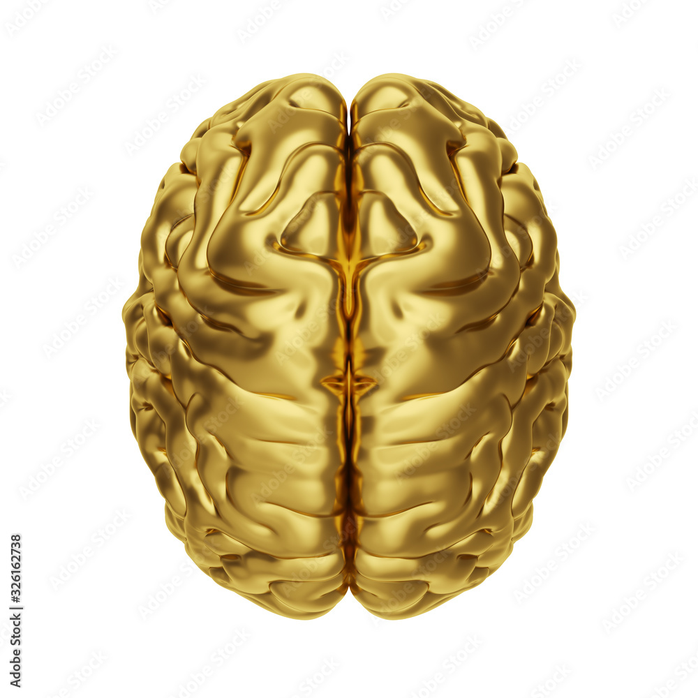 Gold model of human brain isolated on white background. 3d illustration ...