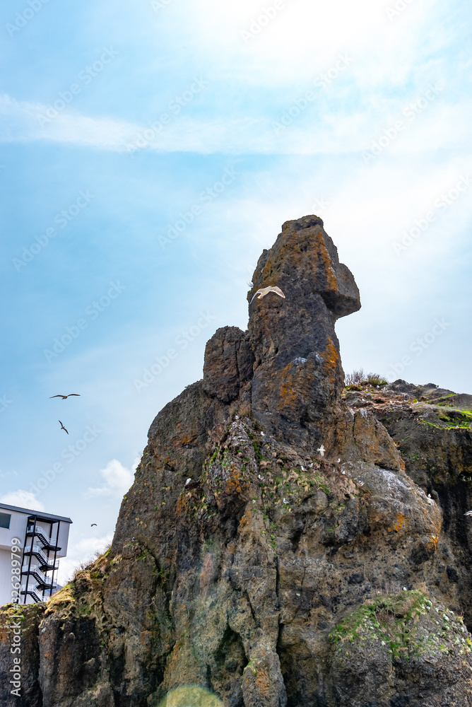 Godzilla Rock (Godzillaiwa), A rock that looks like a Monster Godzilla ...