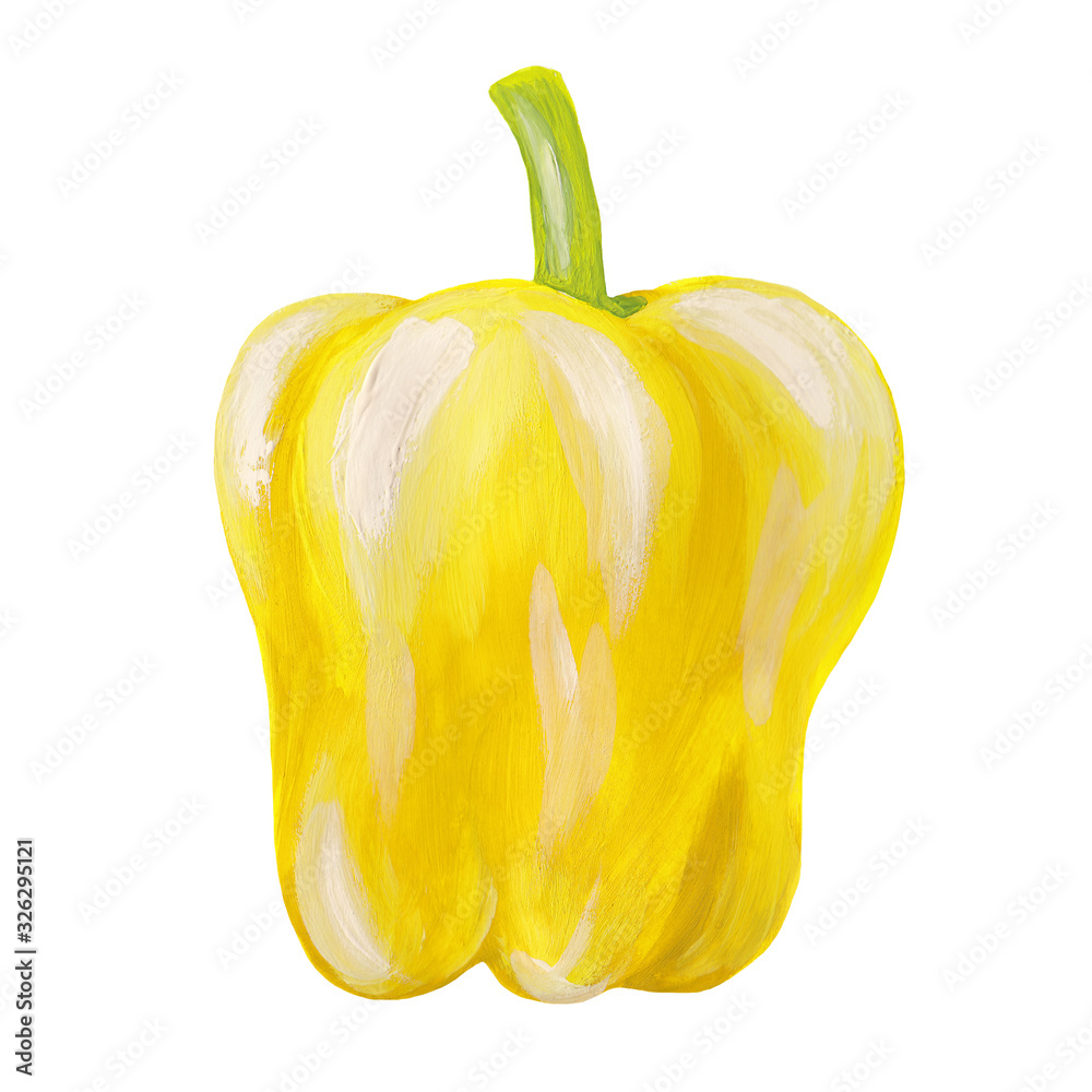 yellow bell pepper in its entirety isolated on white. Hand drawn ...