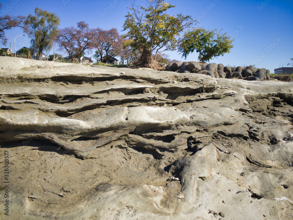 Miraculous scenery created by fossils of trees 1.7 to 2 million years ...
