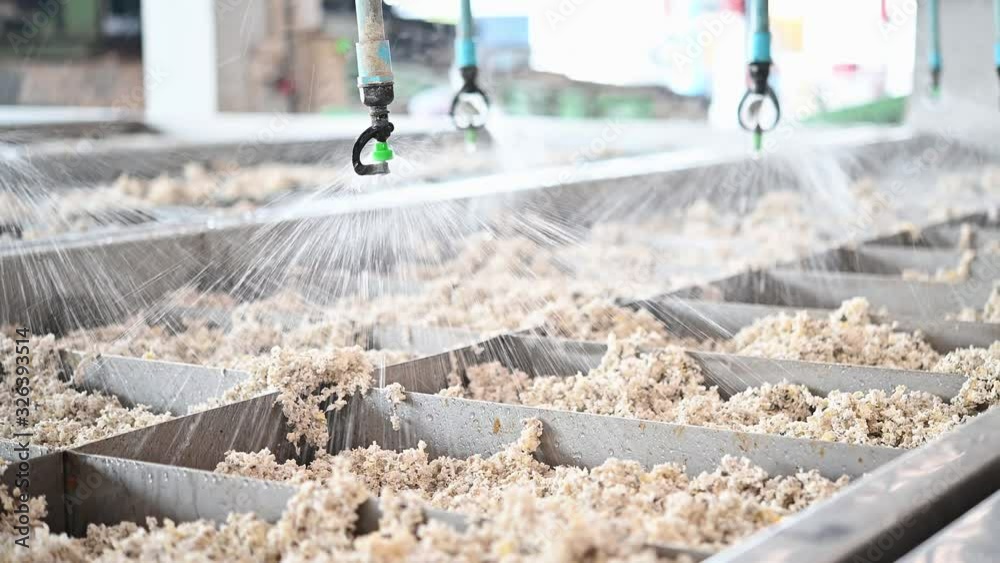 Rubber processing factory,Standard Thailand Rubber STR 20, Block rubber ...