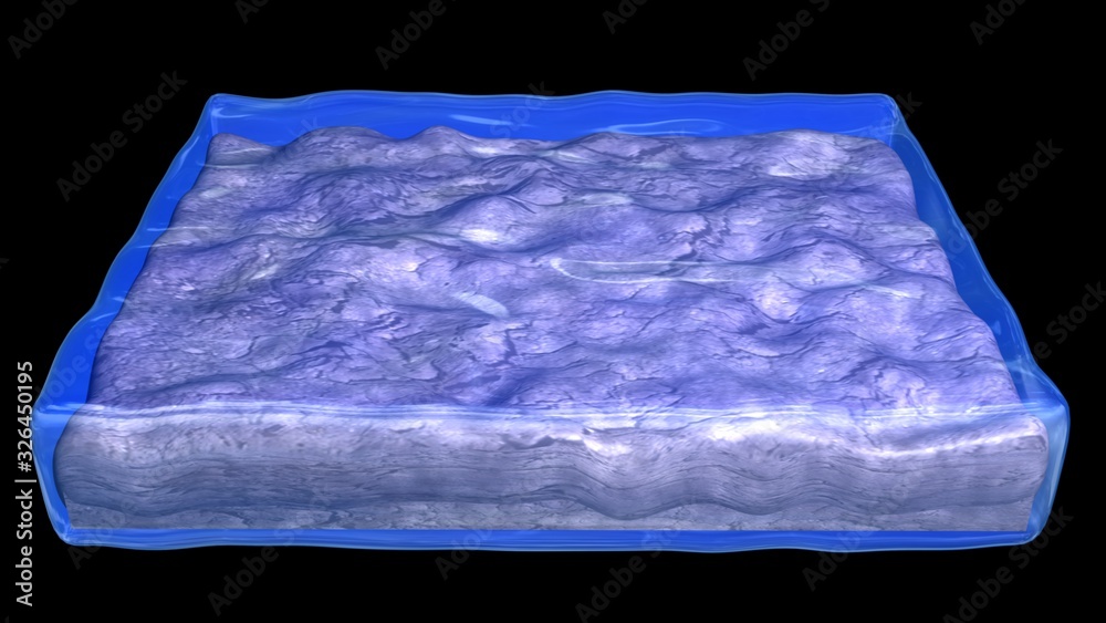 Cross Sectional view of Ocean floor . Underwater mountains , land and ...