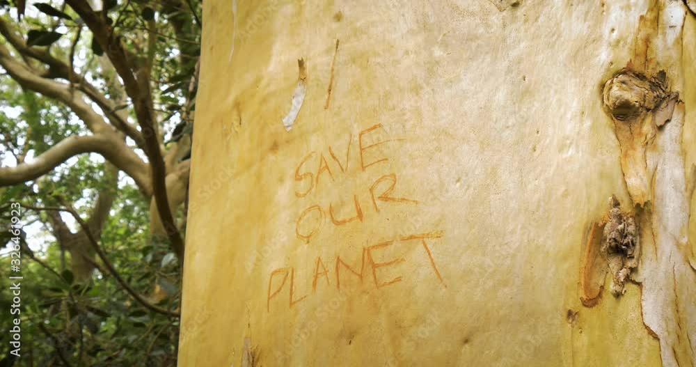 4K low angle shot of an anti-deforestation protest sign carved into a ...